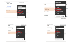 Setting critical fields as required/mandatory fields – PAVAN KUMAR ...